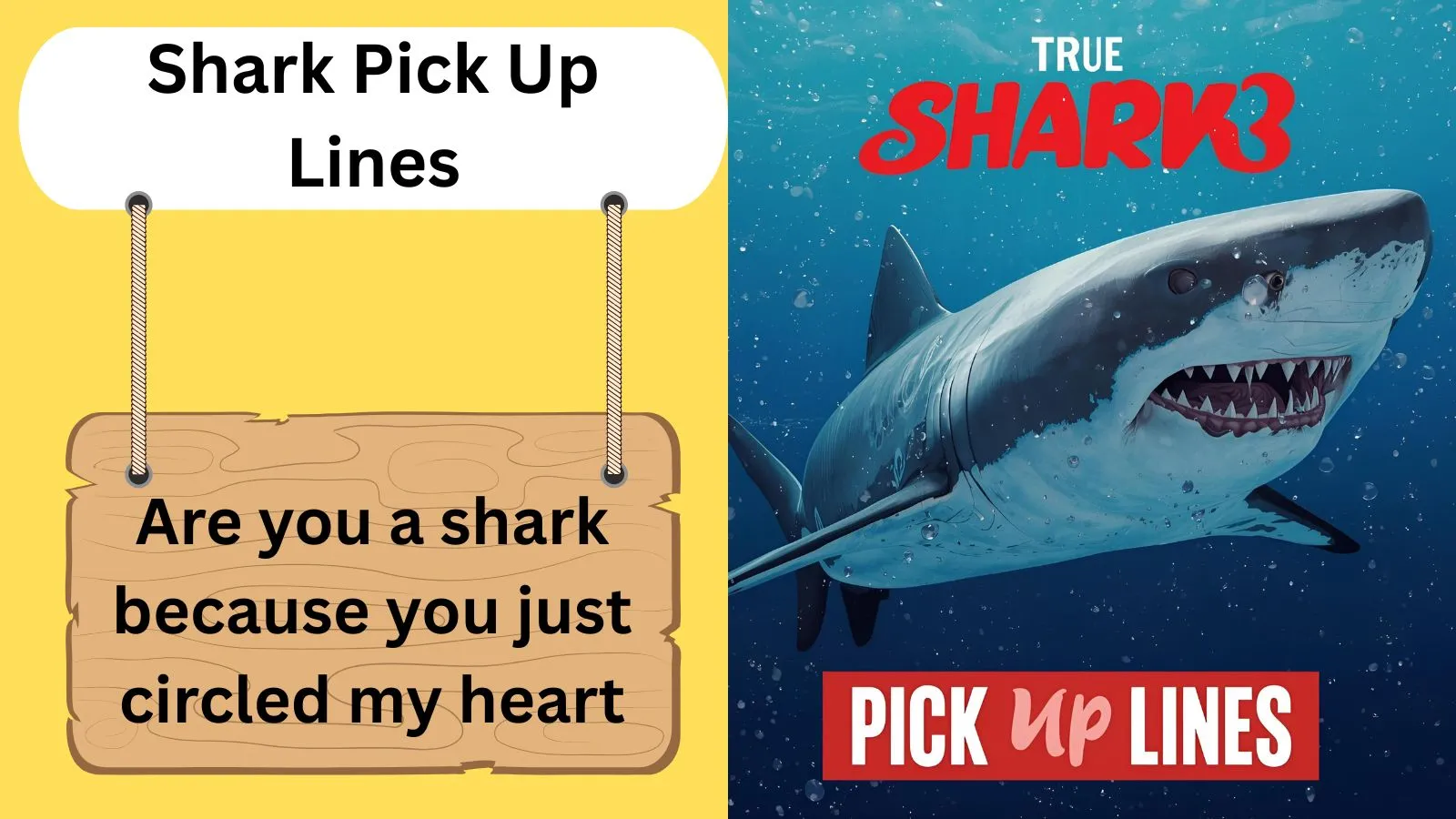480+ Shark Pick Up Lines Funny, Cute & Flirty For 2025